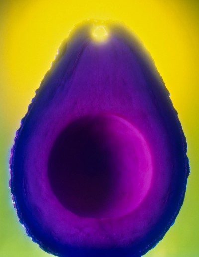 'Purple Avocado' by Tommy Ewasko - Photography from United States