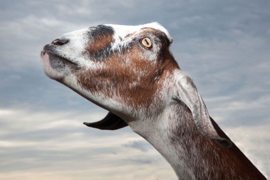 HollenderX2 Photography on The Creative Finder