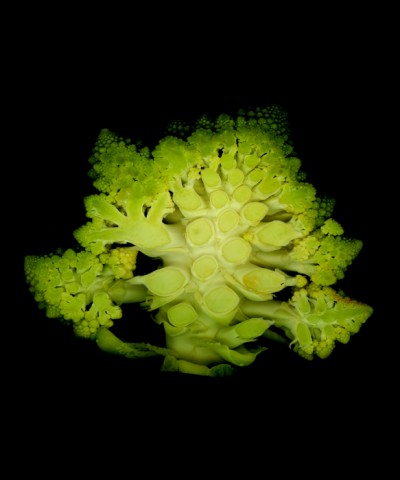 'Mini Cauliflower' by Nik Milner - Photography from Canada
