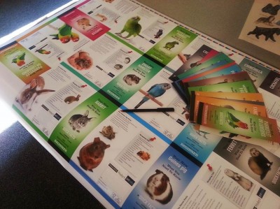 'Small Animal Brochures' by Lua Emilia - Advertising from Canada